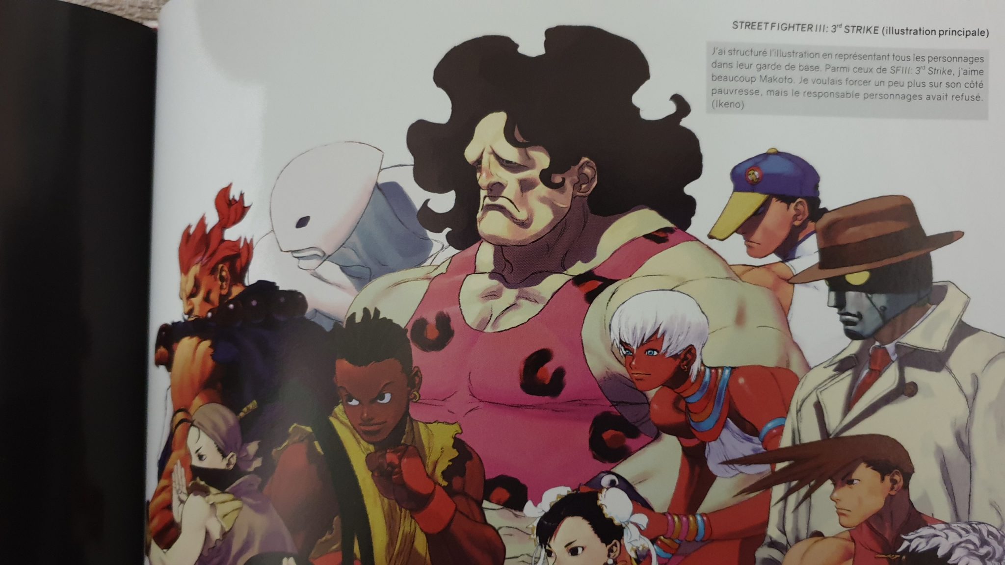 L'Art de Street Fighter : Notre avis sur le livre de Mana Books