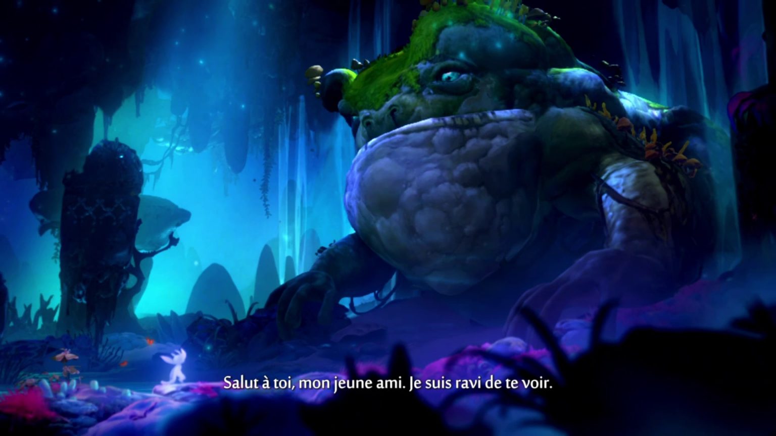 La sagesse de Kwolok - Ori and the Will of the Wisps | Guide