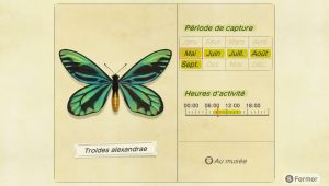 Liste des insectes Animal Crossing New Horizons | Guide