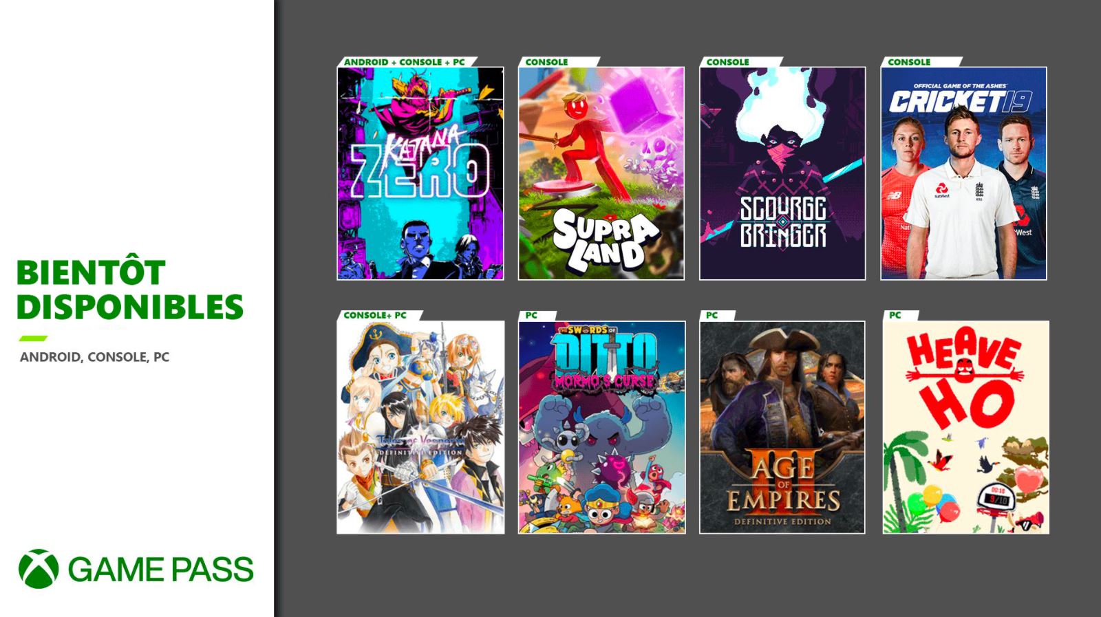 Xbox Game Pass : Tales of Vesperia, Heave Ho et d'autres arrivent sur ...