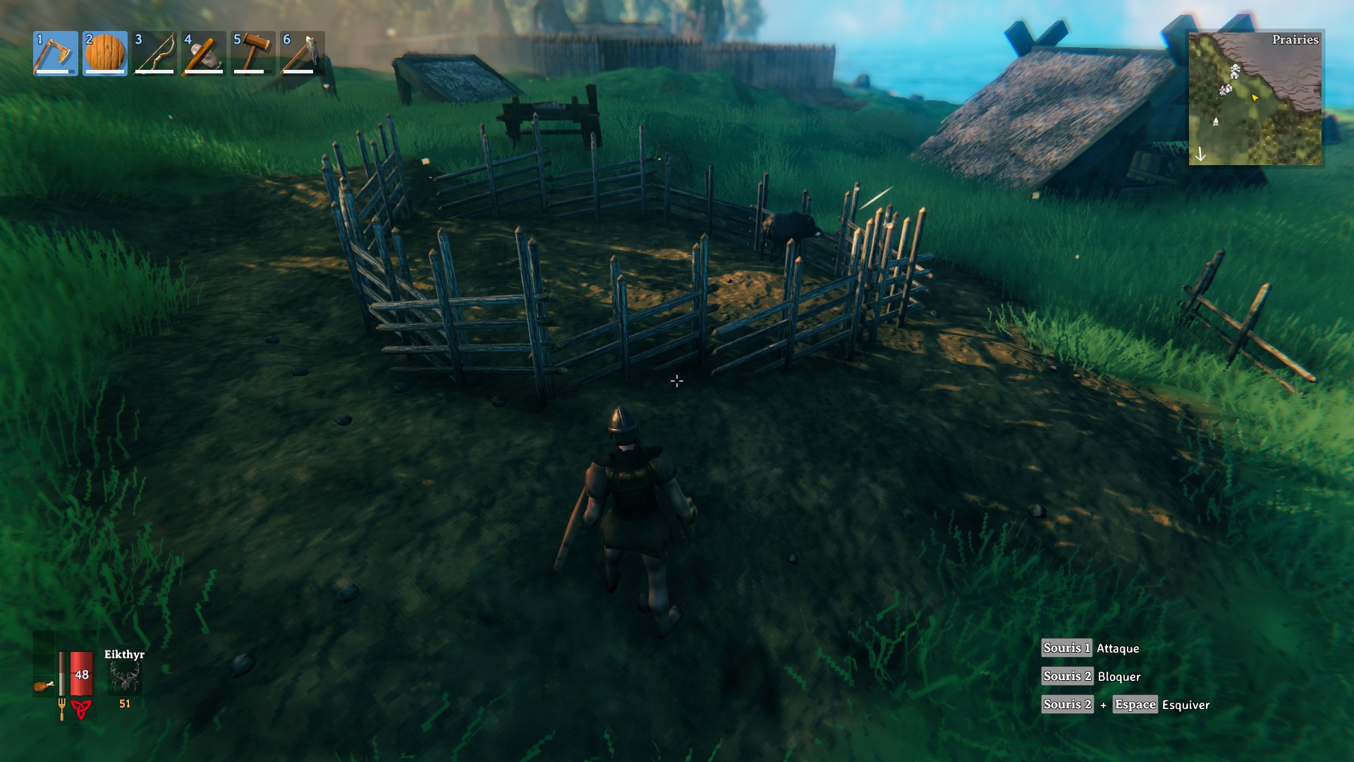 Comment dompter et élever des sangliers | Guide Valheim