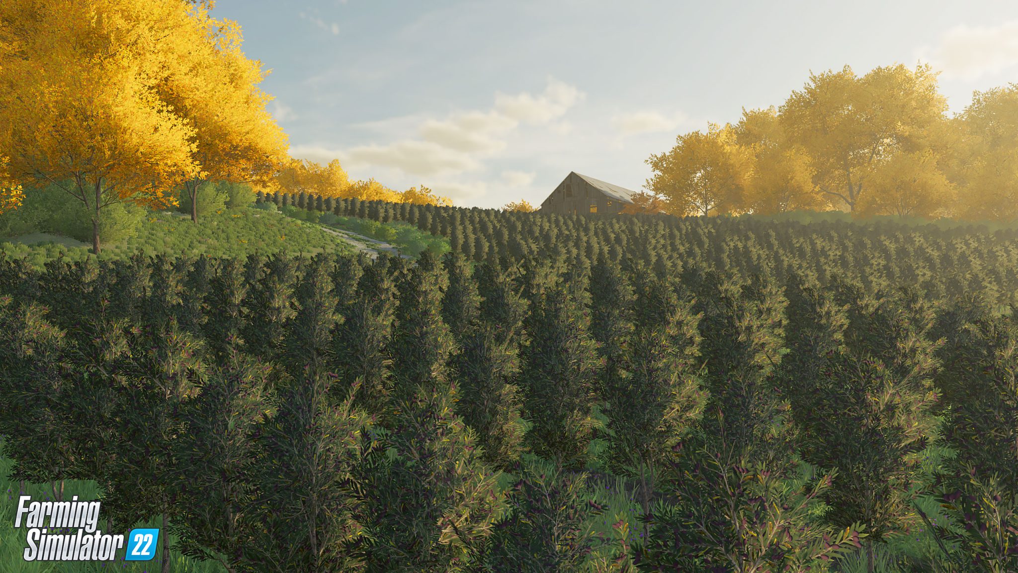 Farming Simulator 22 Dévoile Sa Date De Sortie Et De Nouvelles Cultures