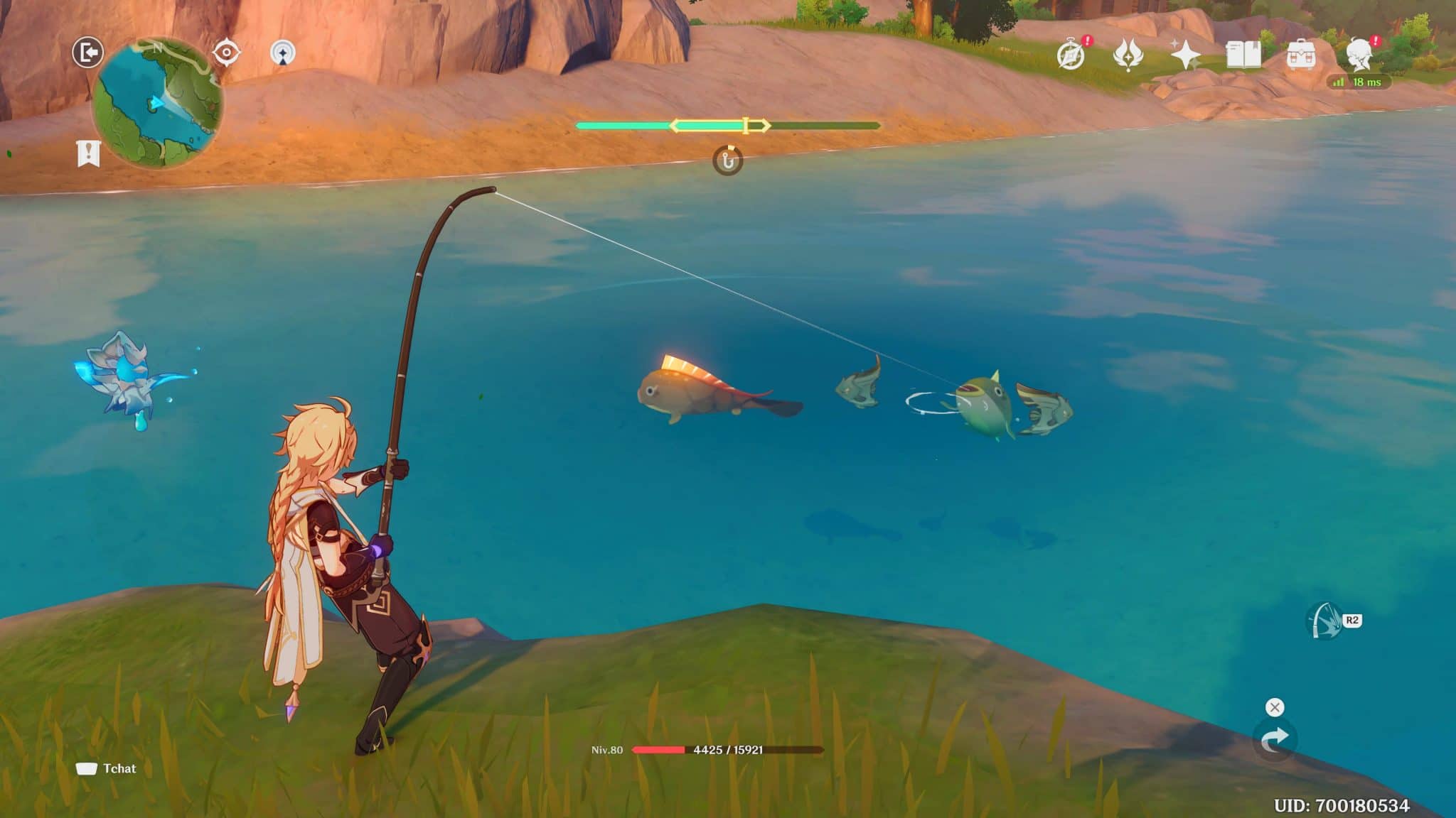 Tout savoir sur la pêche, emplacement des poissons | Guide Genshin Impact