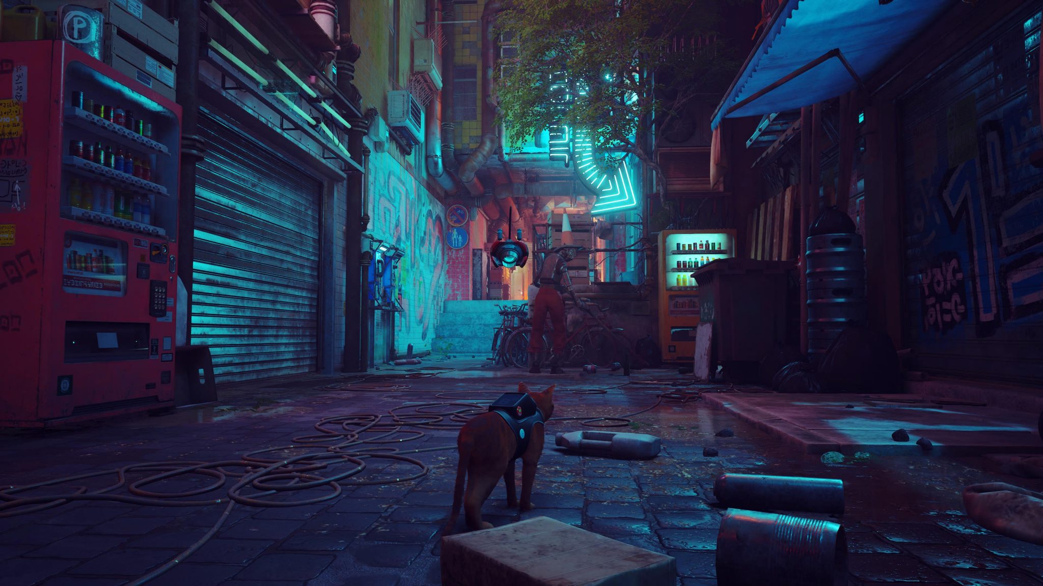 Test Stray - Une courte aventure qui nous fait chavirer de plaisir