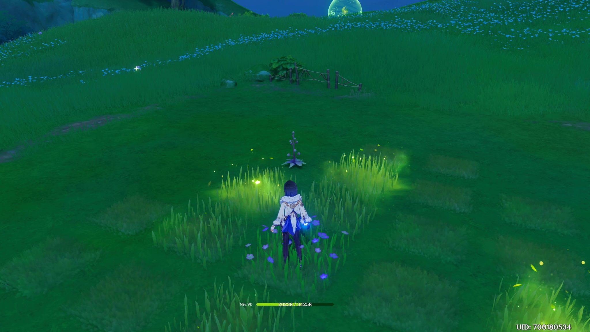 Emplacement de tous les Vasmrti, où les trouver ? | Guide Genshin Impact