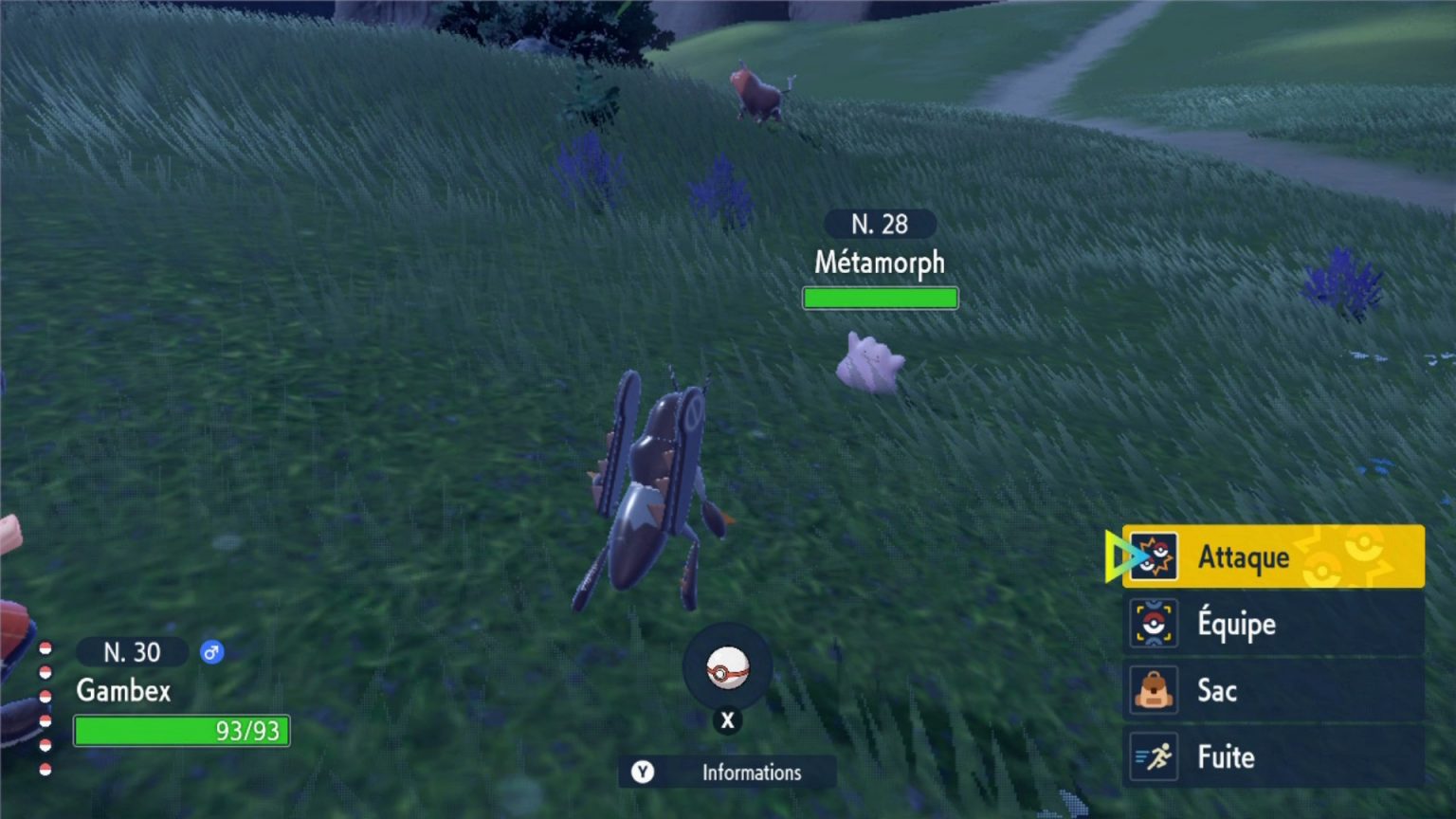 Où trouver Métamorph, localisation | Guide Pokémon Écarlate / Violet