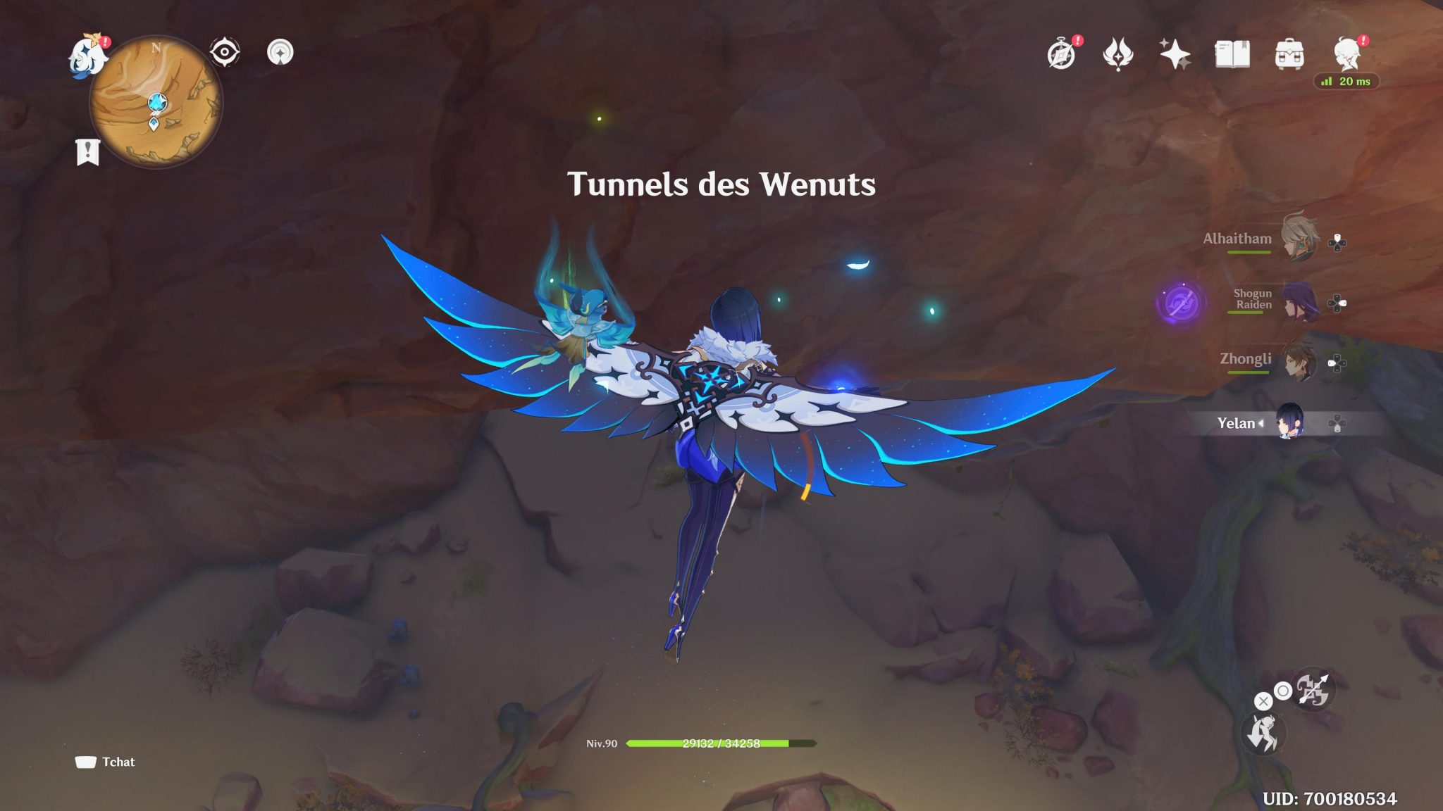 Emplacement de la Pupe graisseuse des sables | Guide Genshin Impact