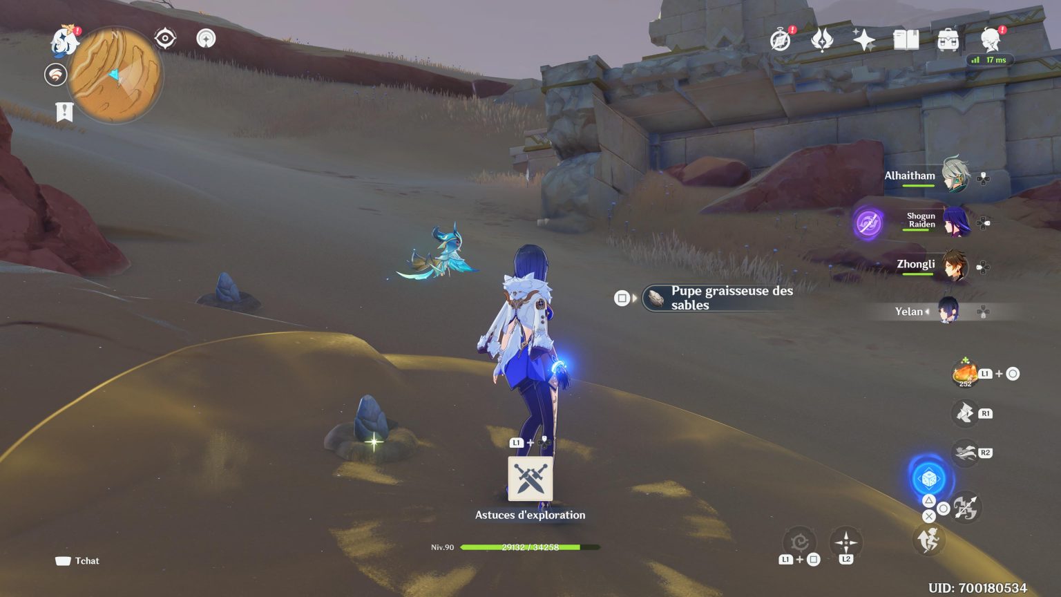 Emplacement de la Pupe graisseuse des sables | Guide Genshin Impact