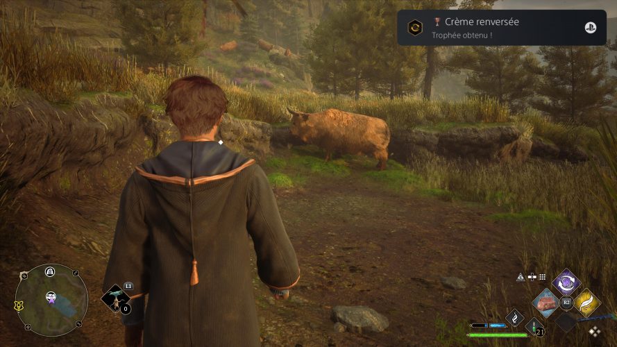 Où trouver des vaches à renverser avec Flipendo | Guide Hogwarts Legacy