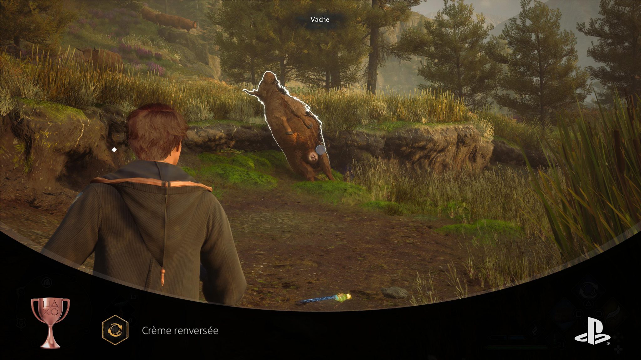 Où trouver des vaches à renverser avec Flipendo | Guide Hogwarts Legacy