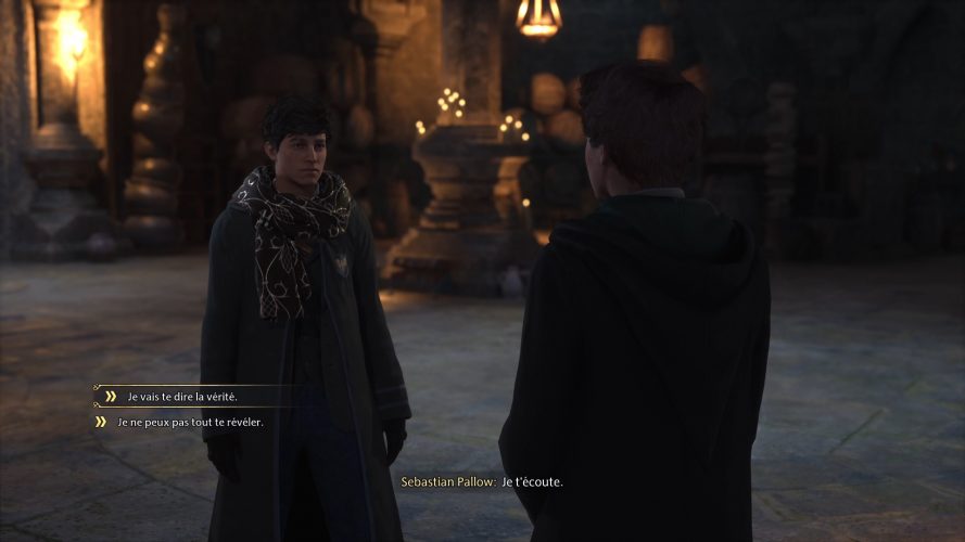 Dans l'ombre de la Crypte | Soluce Hogwarts Legacy