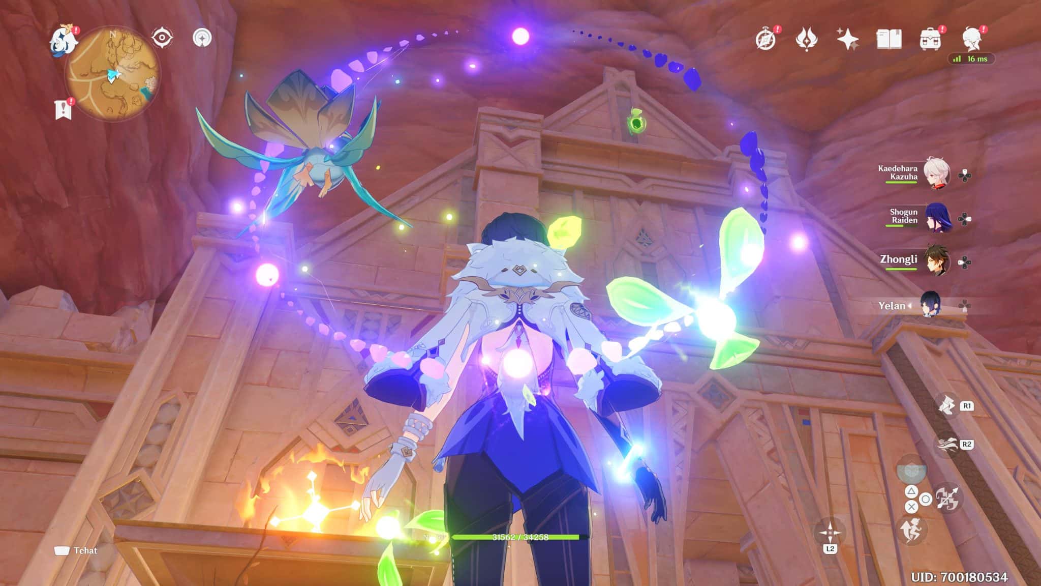 Tous les Dendroculus du désert de Sumeru, où et comment les trouver ...