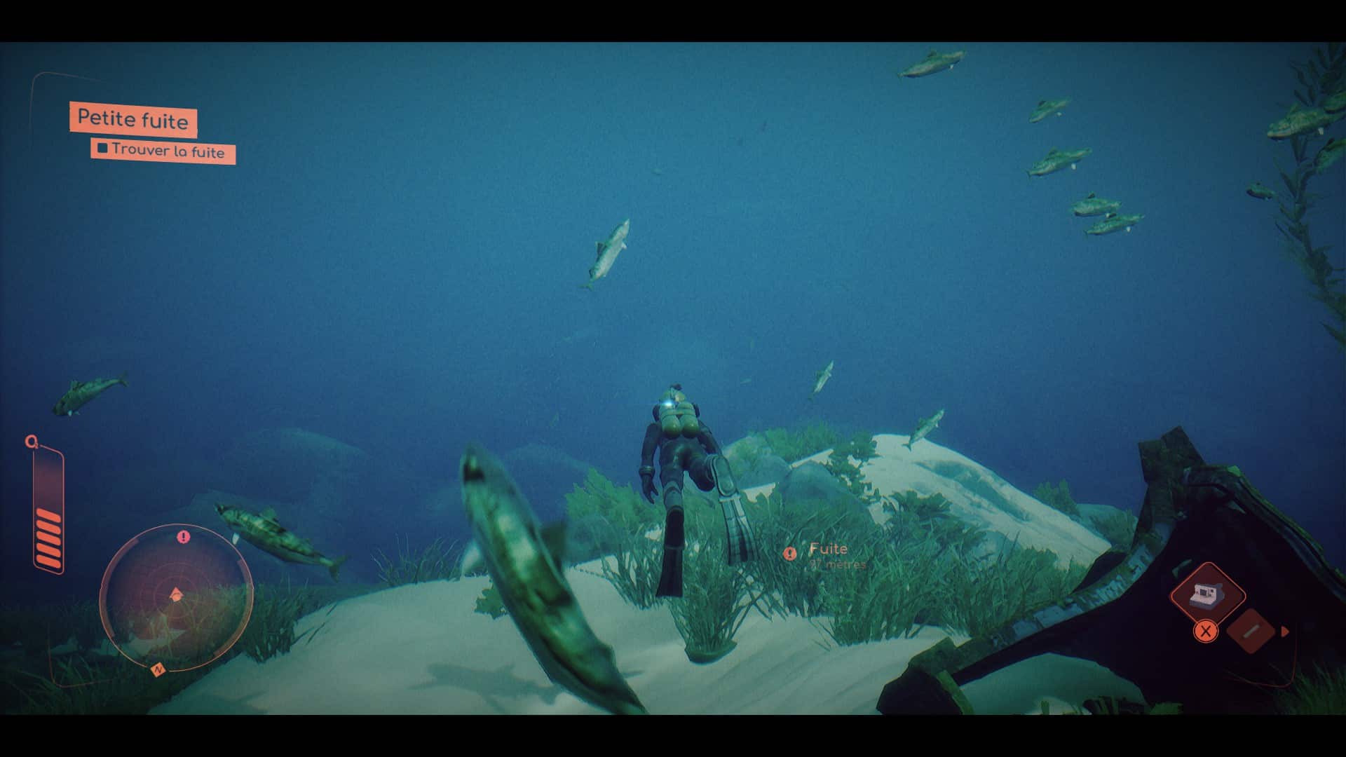 Test Under The Waves - Under the sea Test Under The Waves - Under the sea