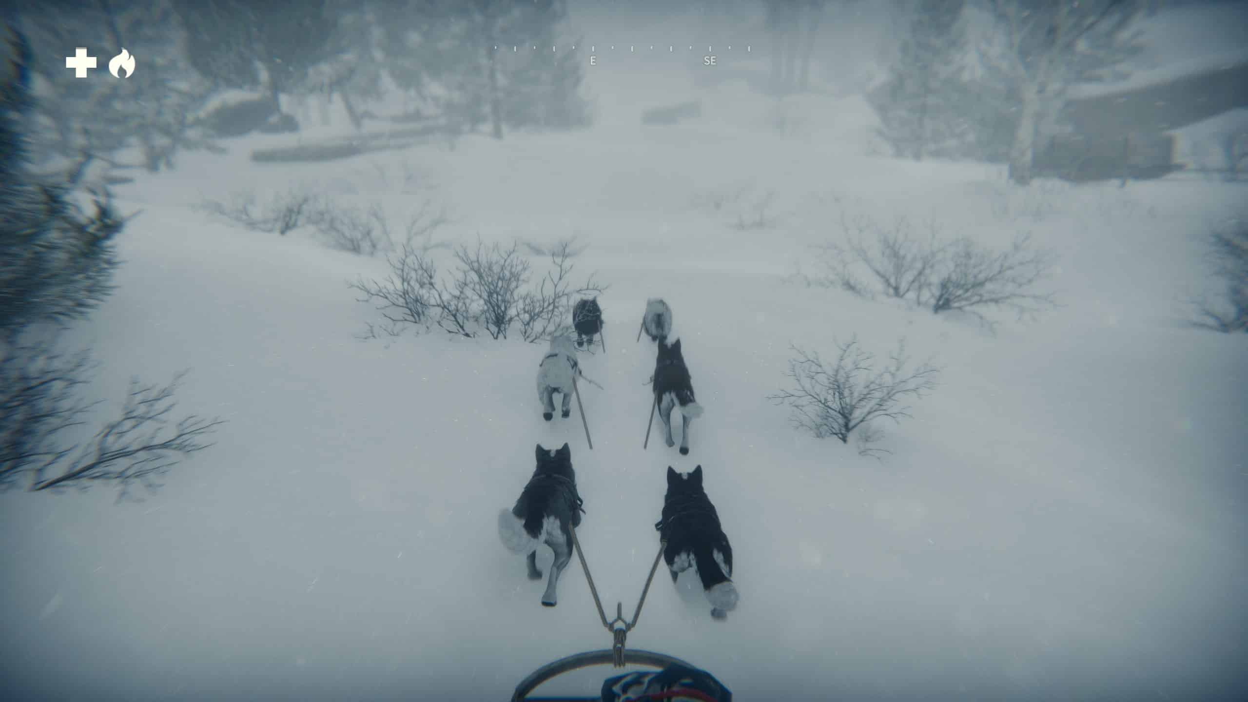 Test Kona II: Brume - Une aventure glaçante mais beaucoup trop brumeuse