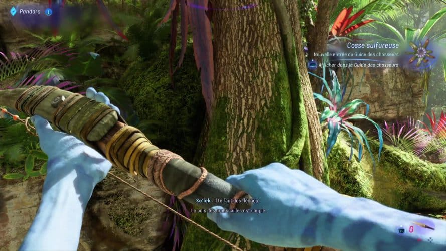 Pandora | Soluce principale Avatar Frontiers of Pandora