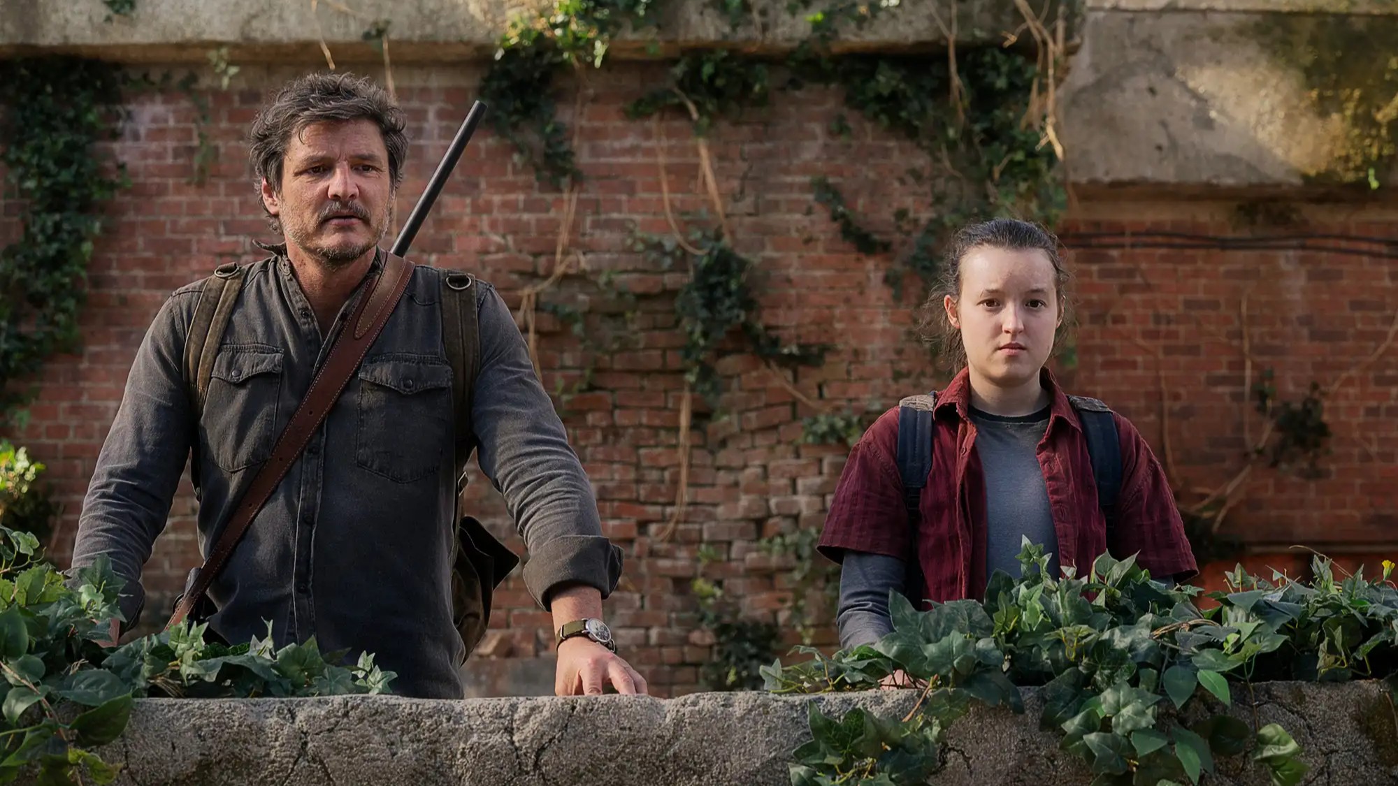 La série The Last of Us est renouvelée pour une saison 3 avant même la diffusion de sa saison 2