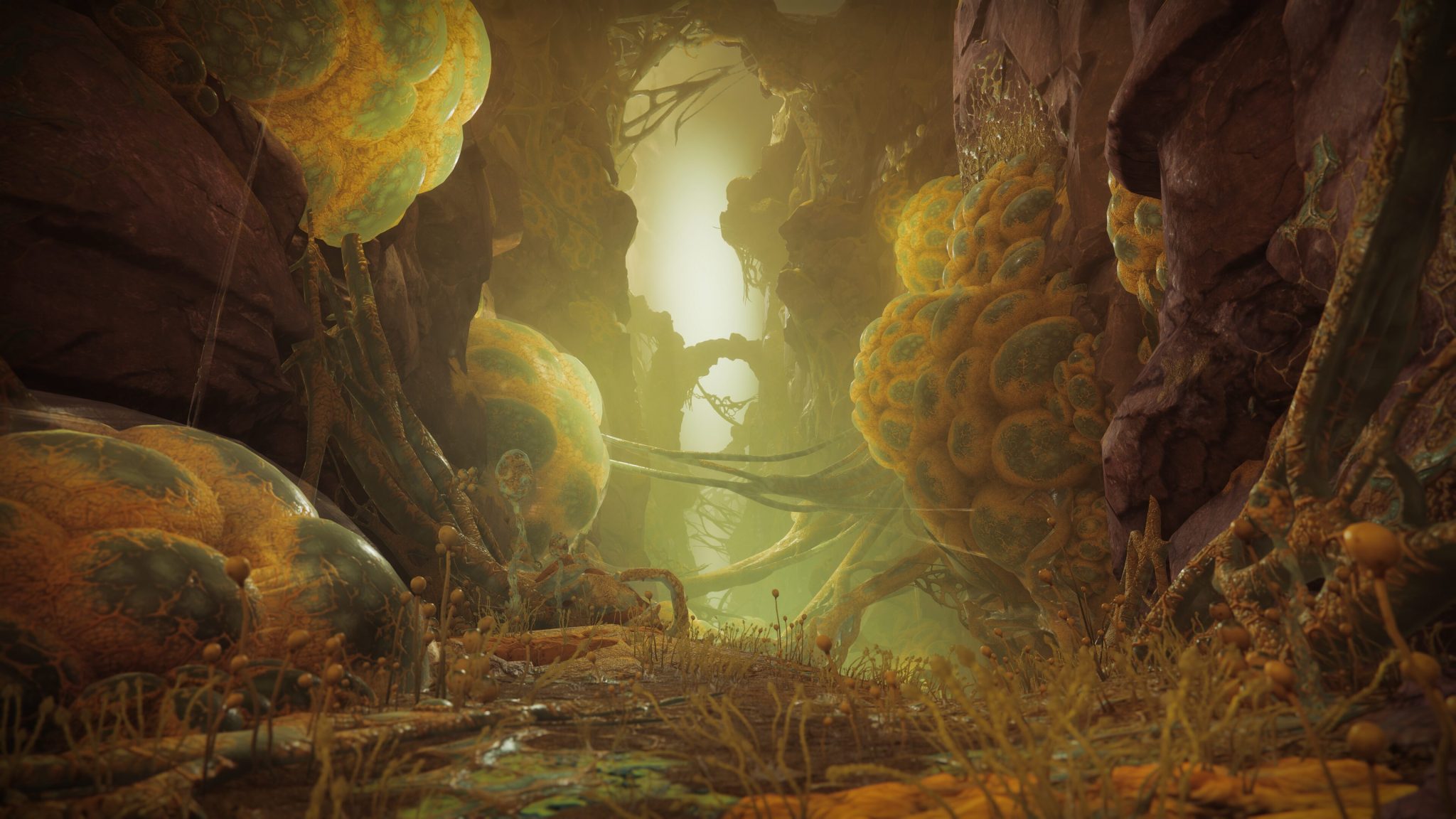 Destiny 2 : L'avenir du jeu dévoilé avec Les Confins du Destin le 15 ...